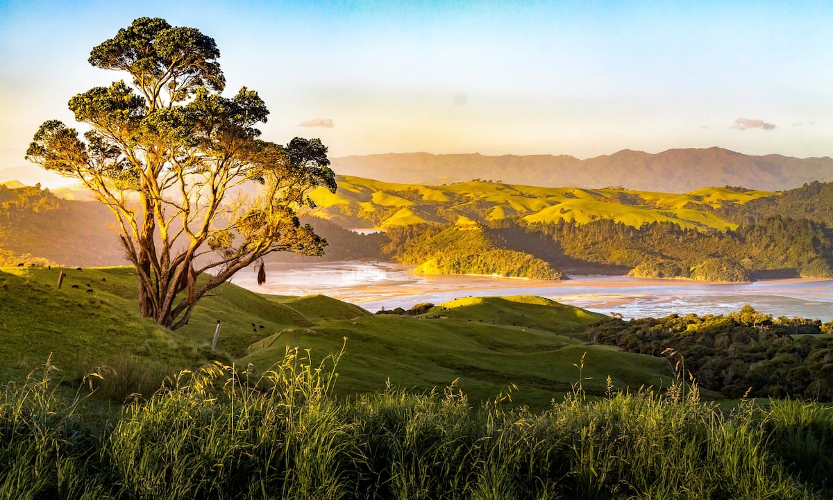 CoromandelDriving Creek附近的房源 - 科罗曼德, 新西兰 | 爱彼迎