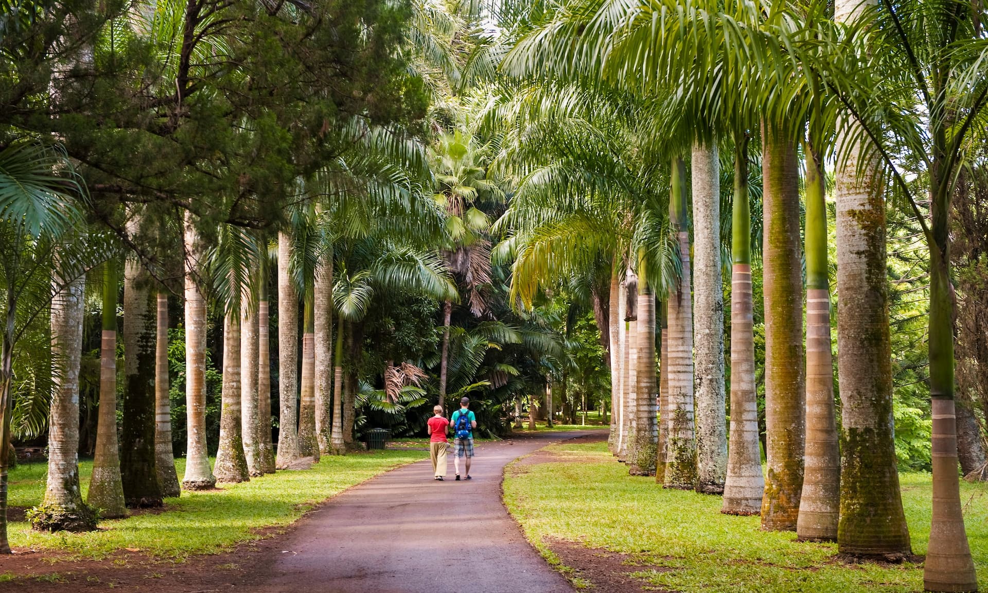 Grand BaiePereybere Beach附近的房源 - 雷贝尔, Grand Baie, 毛里求斯 | 爱彼迎